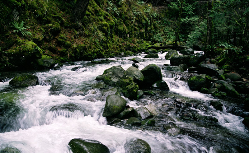 Nature Photography | akatibah